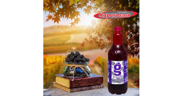 Гюнсевен сок Черница 1л | RuseBag